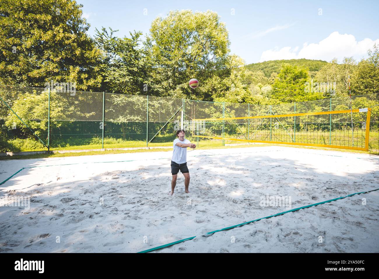 Game amidst trees hi-res stock photography and images - Alamy