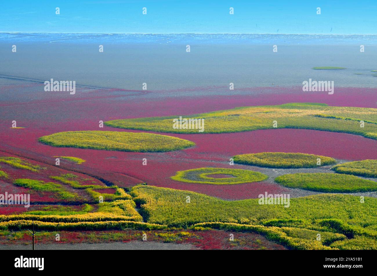 A view of Suncheon bay wetland reserve in Jeollanamdo province, South ...