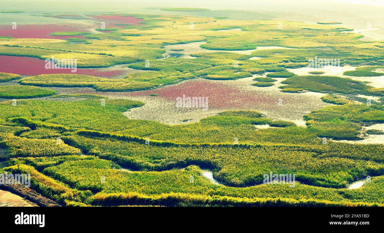 A view of Suncheon bay wetland reserve in Jeollanamdo province, South ...