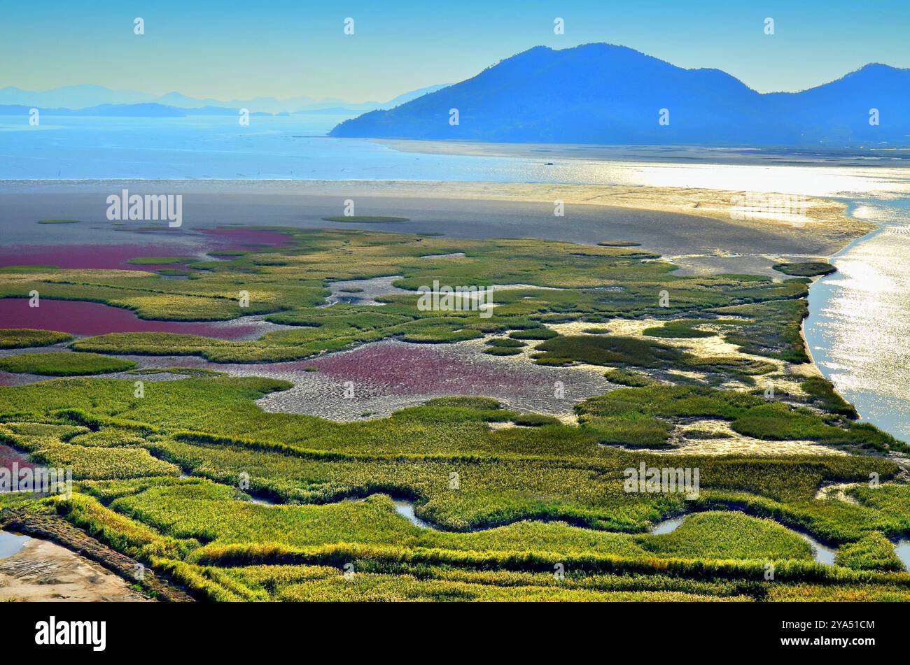 A view of Suncheon bay wetland reserve in Jeollanamdo province, South ...