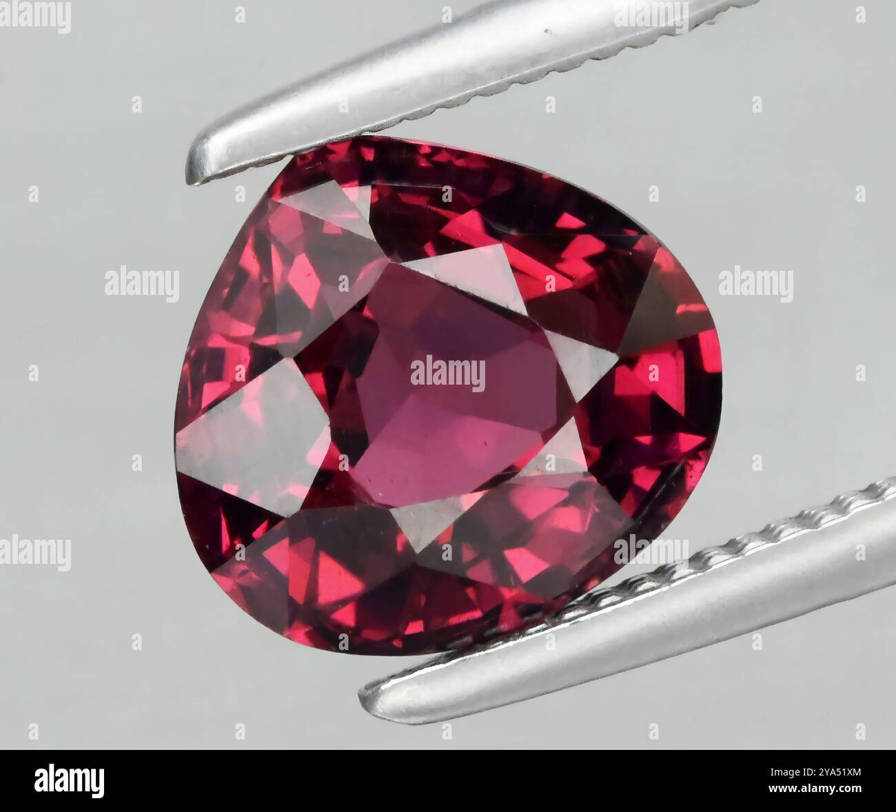 Stunning Deep Red Natural Gemstone Captured on Precision Tweezers Stock ...