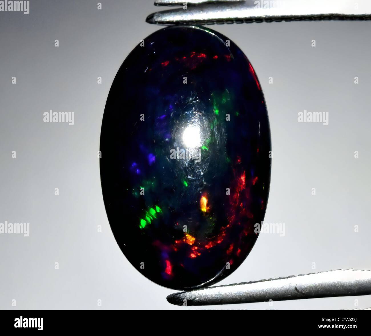 Captivating Natural Opal Gemstone Displaying Vibrant Iridescence in a ...
