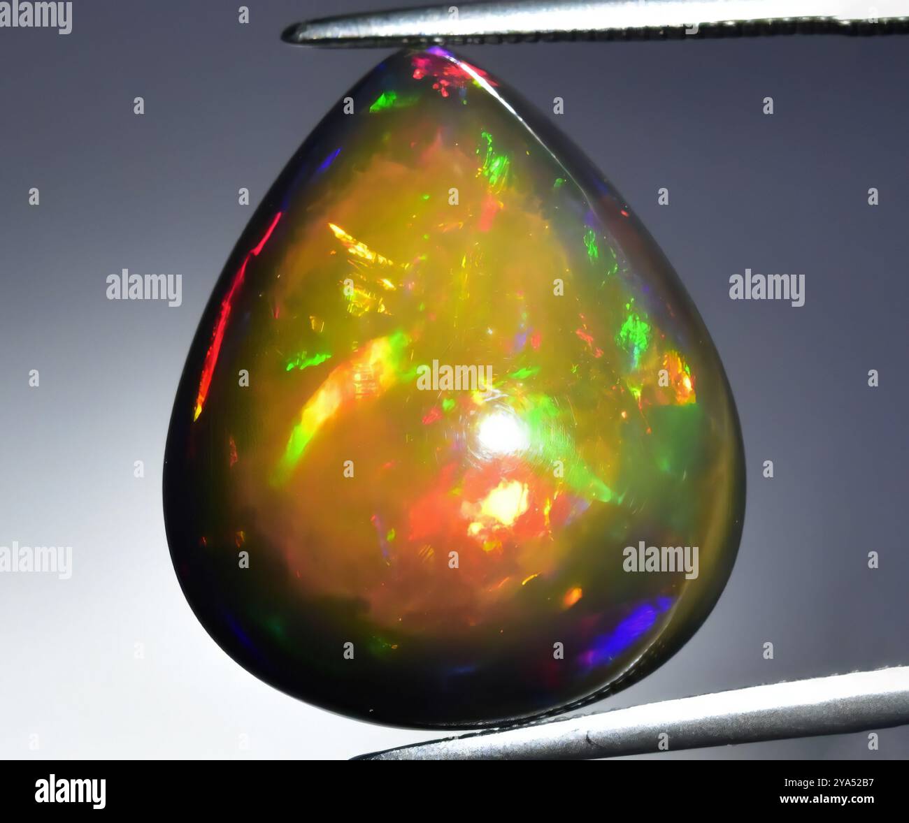Radiant Teardrop Shaped Natural Opal Gemstone Displaying Vibrant ...