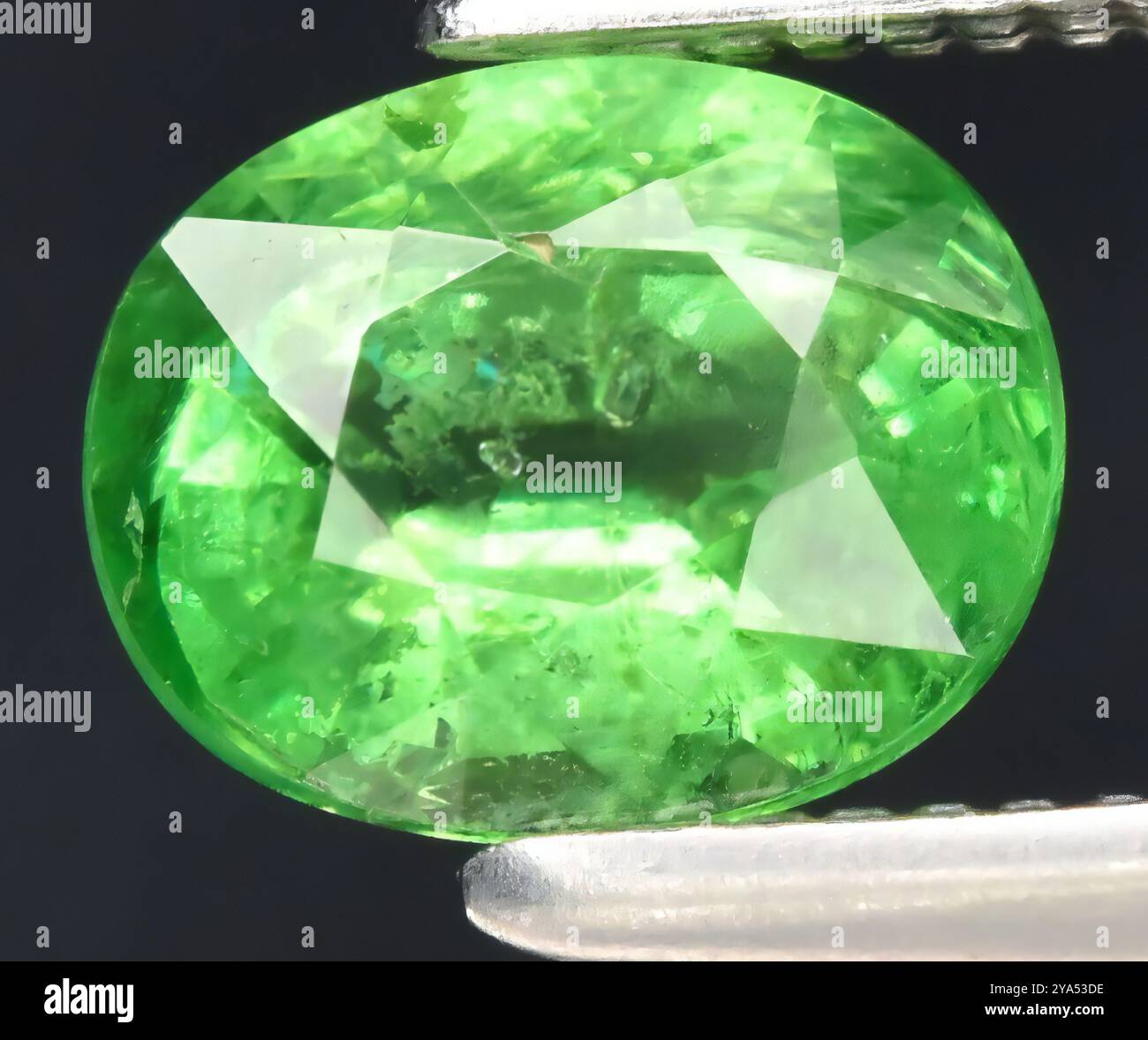 Exquisite Natural Green Gemstone Showcasing Brilliant Transparency and ...