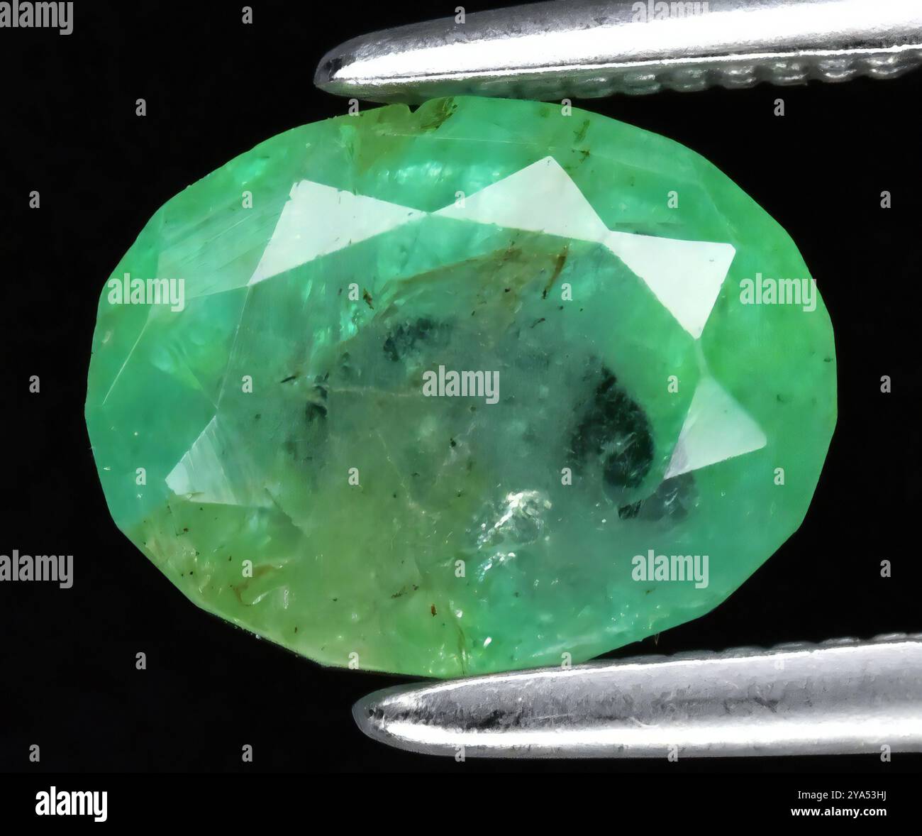 Rich color variations hi-res stock photography and images - Alamy