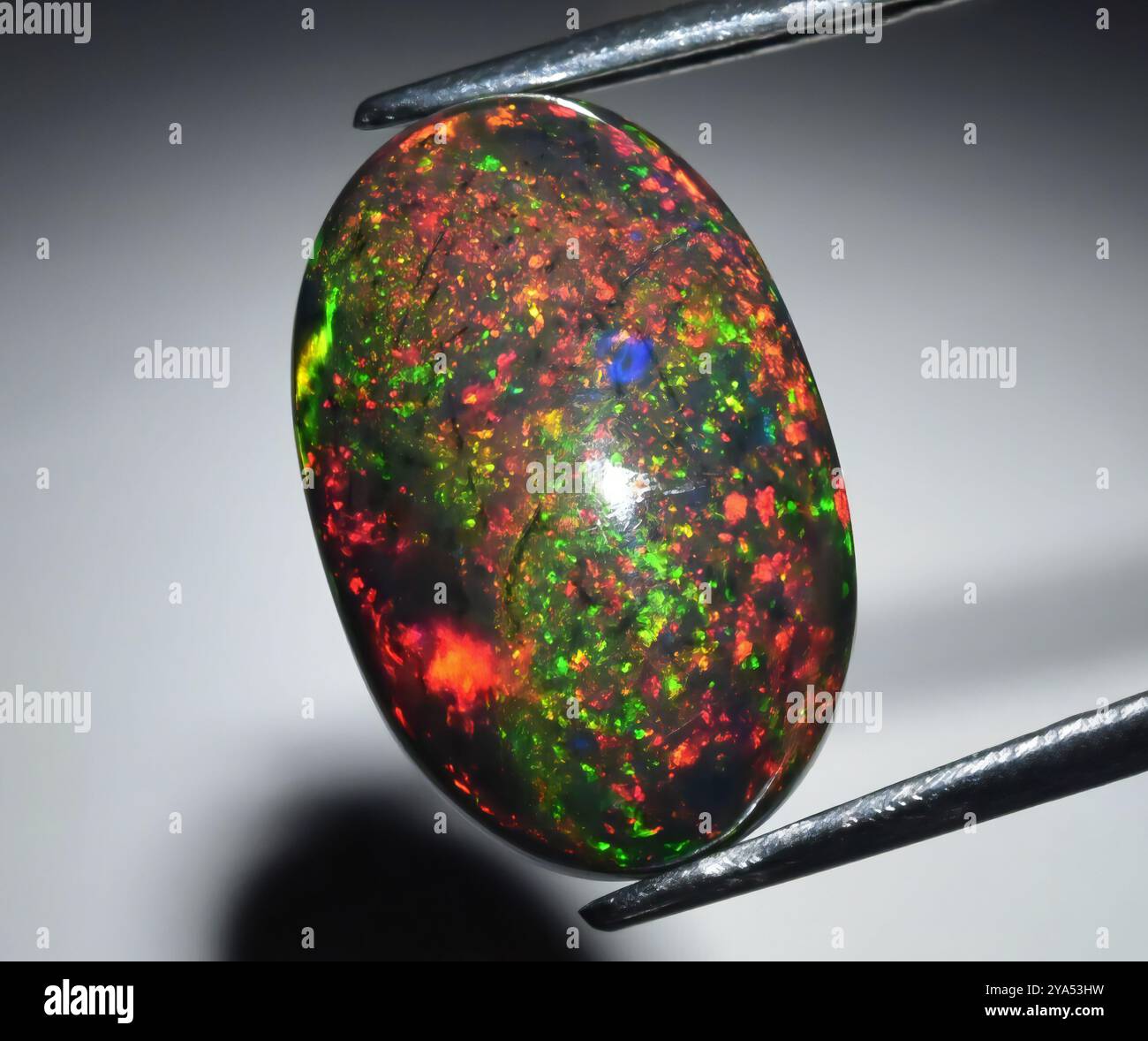 Mesmerizing Multicolored Opal Gemstone Displaying Fiery Red and Green ...