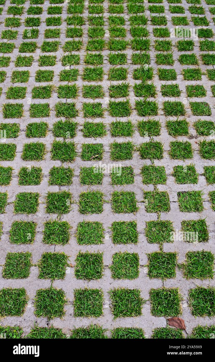 Grass paving pattern surface hi-res stock photography and images - Alamy