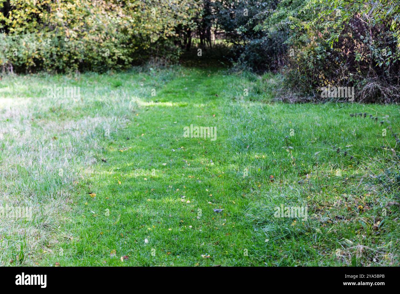 Mow a path in grass hi-res stock photography and images - Alamy