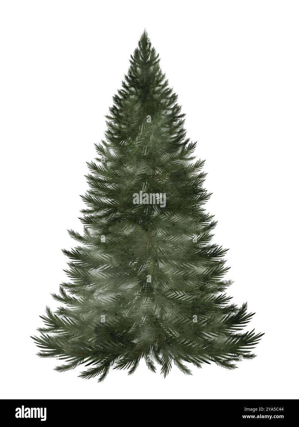 Christmas tree watercolor. Hand drawn evergreen tree isolated on white ...