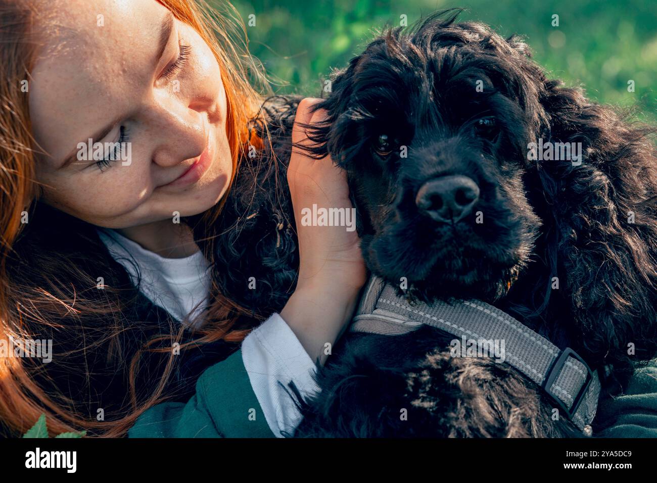 Unconditional Bond - A moment that showcases the deep connection ...