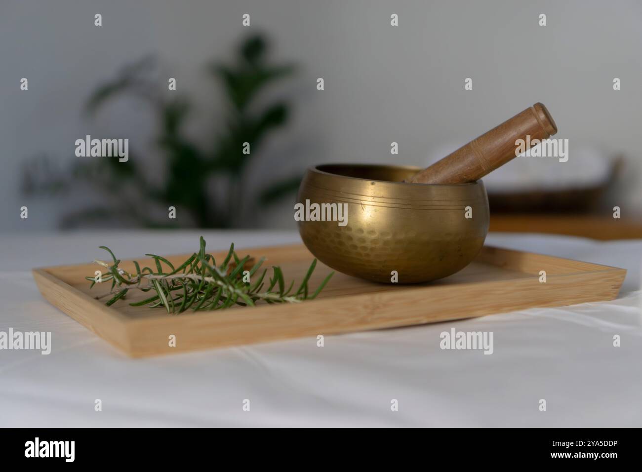 Massage therapy benefits hi-res stock photography and images - Alamy