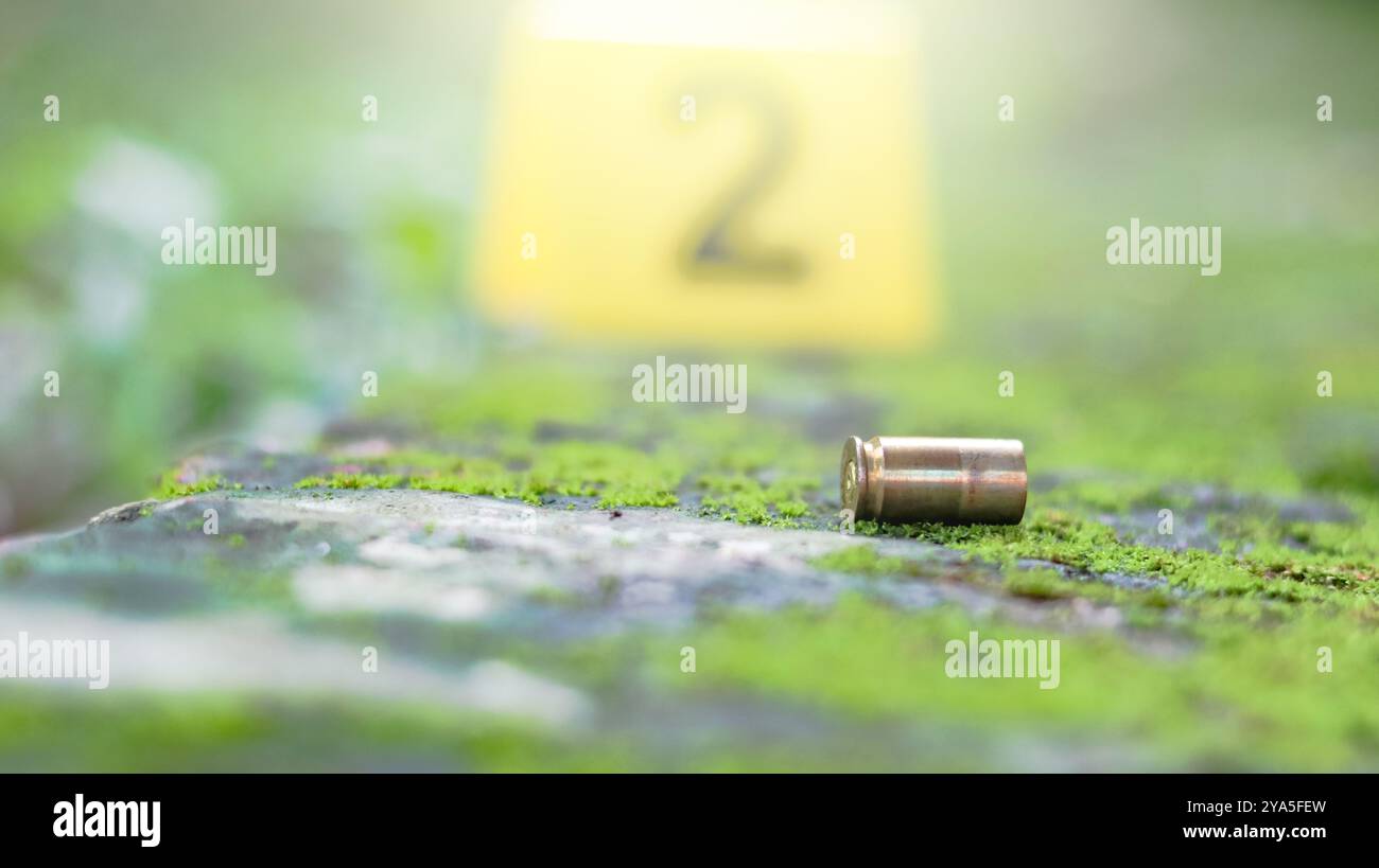 Empty bullet casing on a mossy surface, with a blurred black number 2 ...