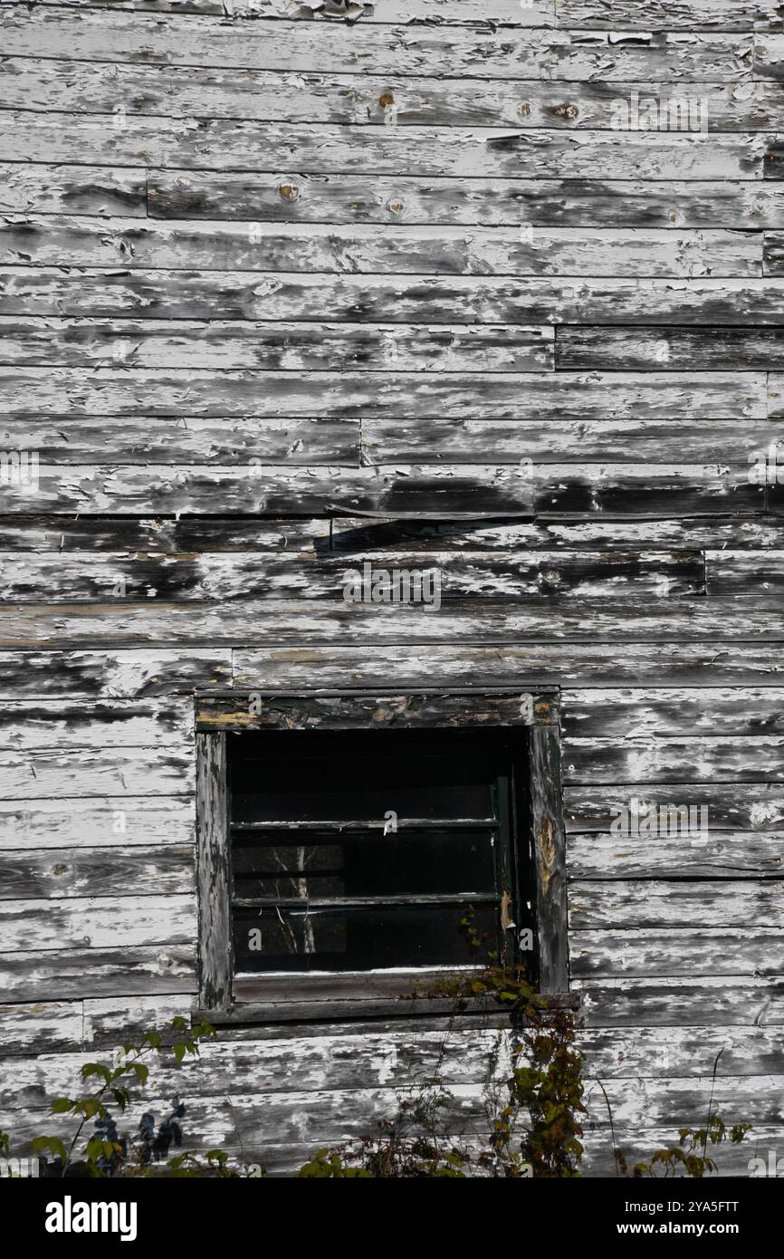 Old whitewashed barn in disrepair in rural Northern Ontario Stock Photo ...
