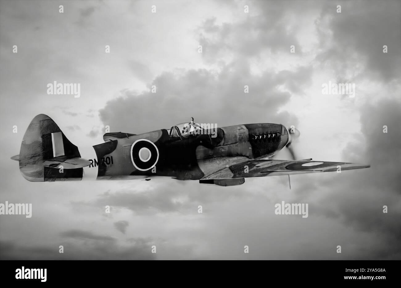 Rudder fin hi-res stock photography and images - Alamy