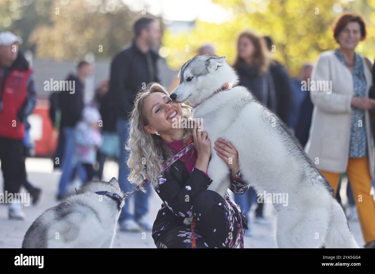Two huskies hi-res stock photography and images - Alamy