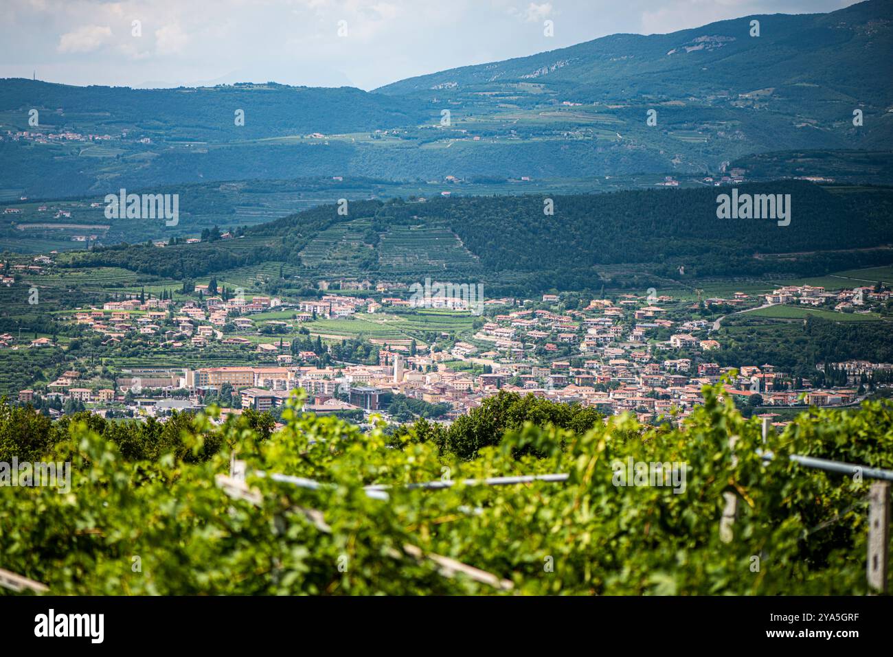 Negrar hi-res stock photography and images - Alamy