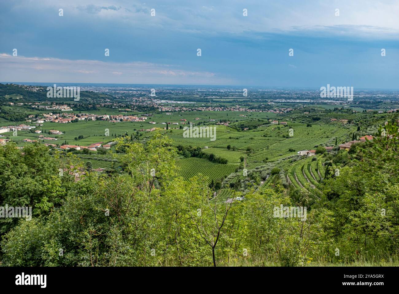 Negrar di valpolicella hi-res stock photography and images - Alamy