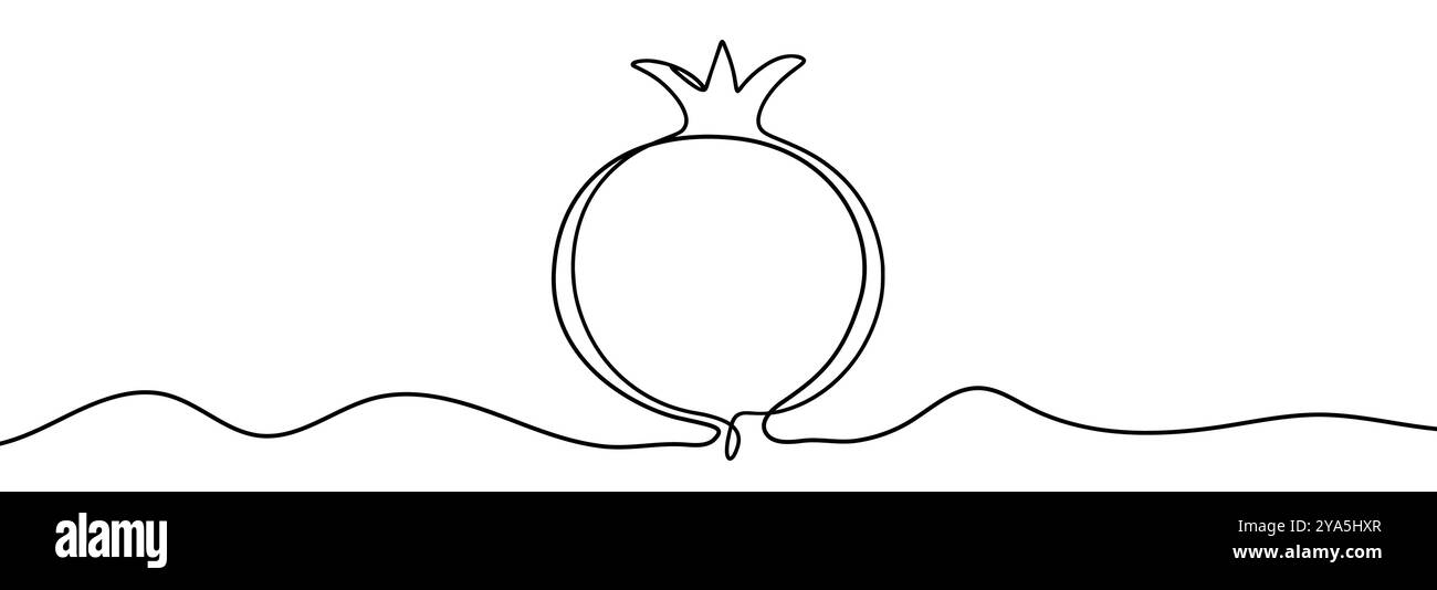 Continuous linear drawing of pomegranate. One line drawing garnet ...