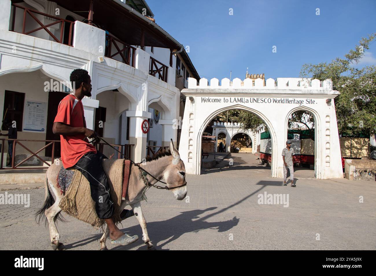 A man rides his donkey along the main street of Lamu Island. Lamu ...