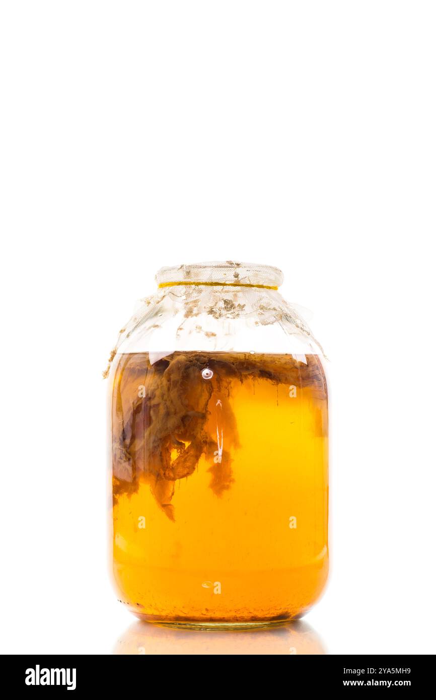 Kombucha tea in a glass jar. Isolated on white background Stock Photo ...