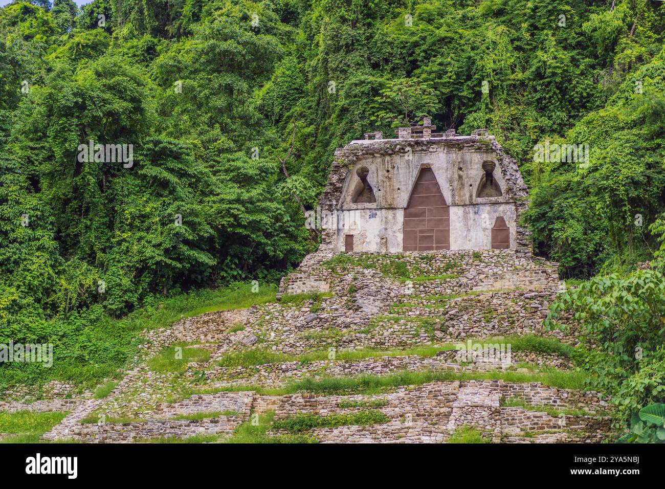 The ancient pyramids of Palenque in Mexico, surrounded by lush jungle ...
