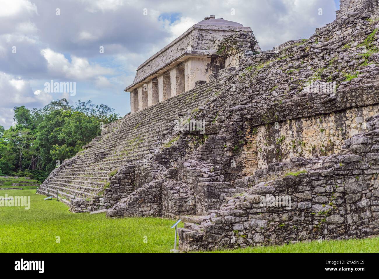 The ancient pyramids of Palenque in Mexico, surrounded by lush jungle ...