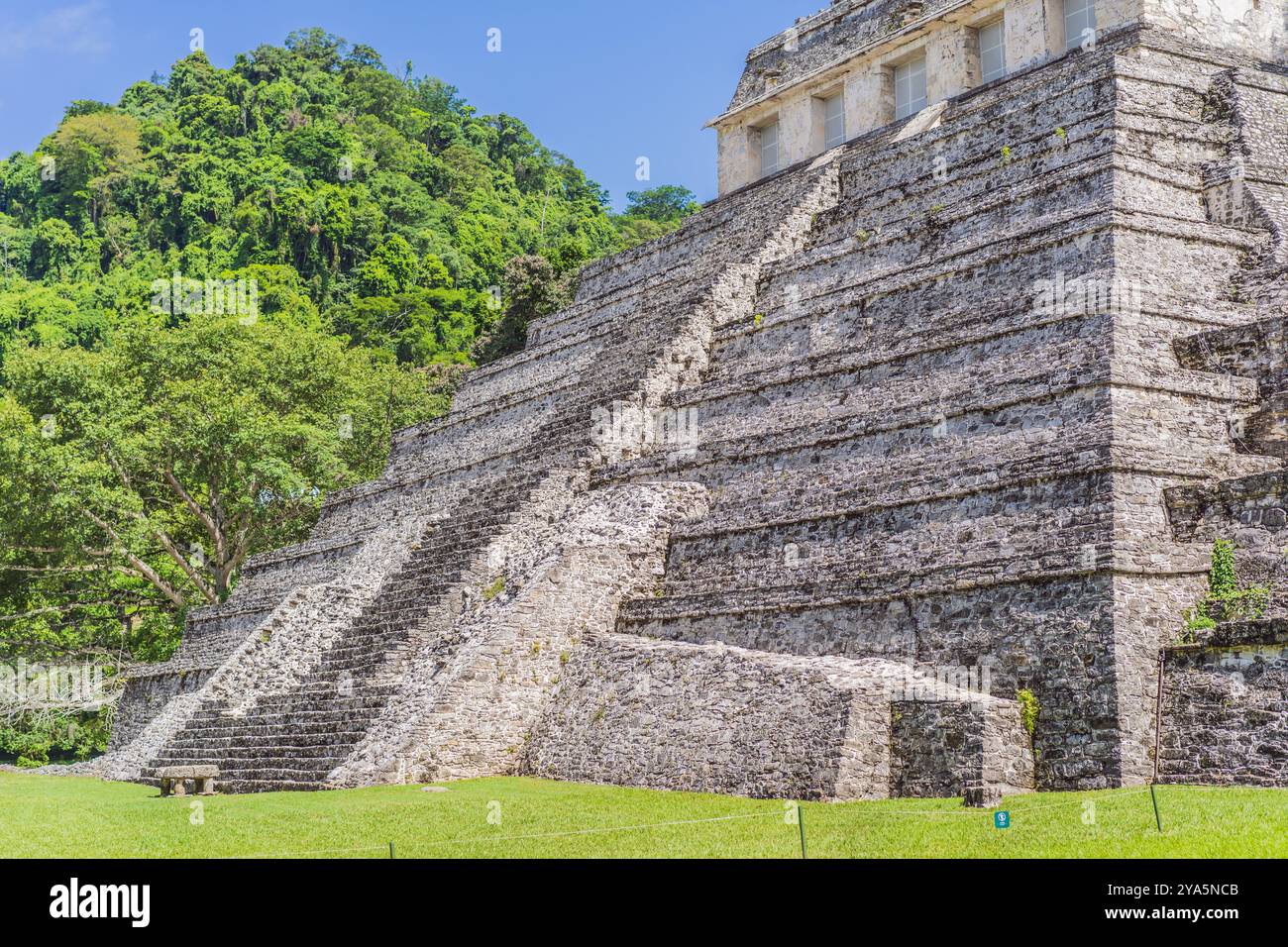 The ancient pyramids of Palenque in Mexico, surrounded by lush jungle ...
