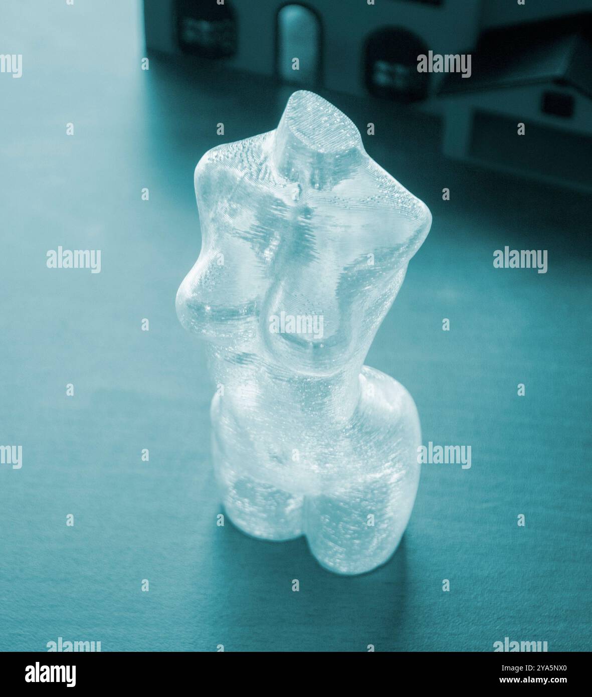 Model printed on 3D printer. Art object female body printed on a 3D ...