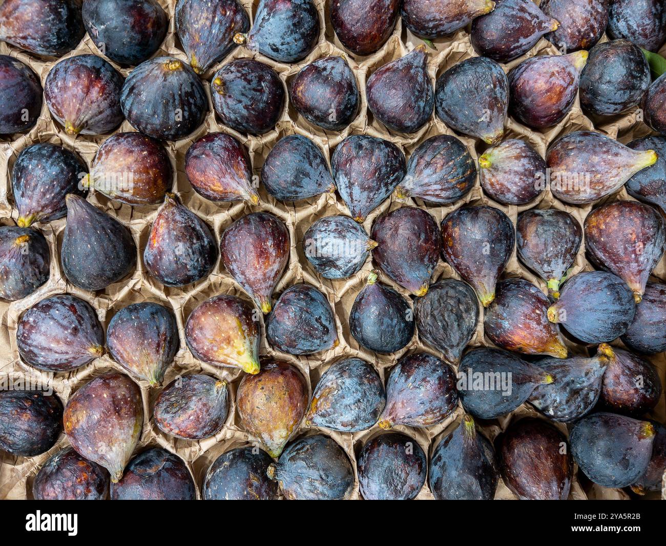 Black mission figs arranged in cardboard box in top view, black figs as ...
