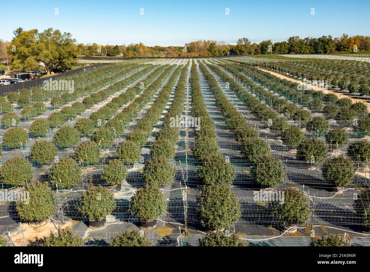 Grasshopper farms hi-res stock photography and images - Alamy