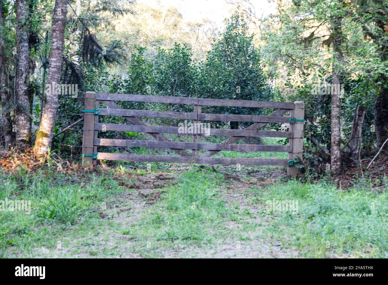 Rustic wooden gate in a rural setting Stock Photo - Alamy
