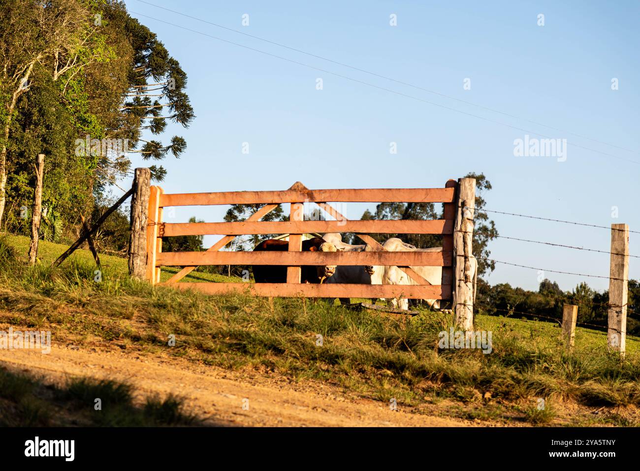 Rustic wooden gate in a rural setting Stock Photo - Alamy