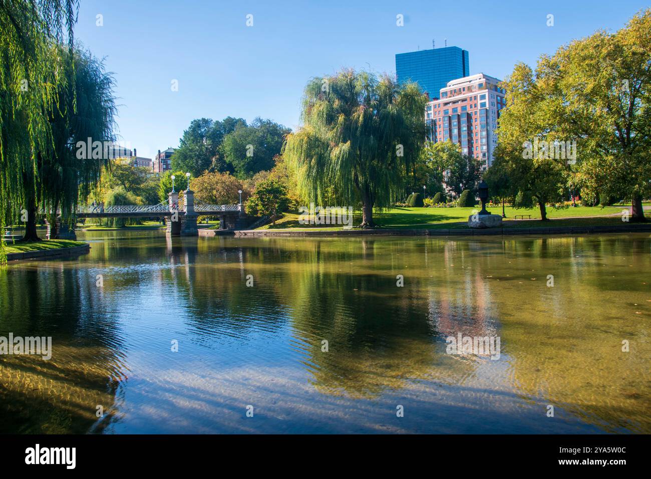 Boston Common is a large park that provides great views of surrounding ...