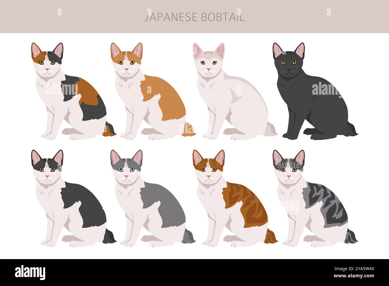 Japanese bobtail cat clipart. All cat breeds characteristics ...