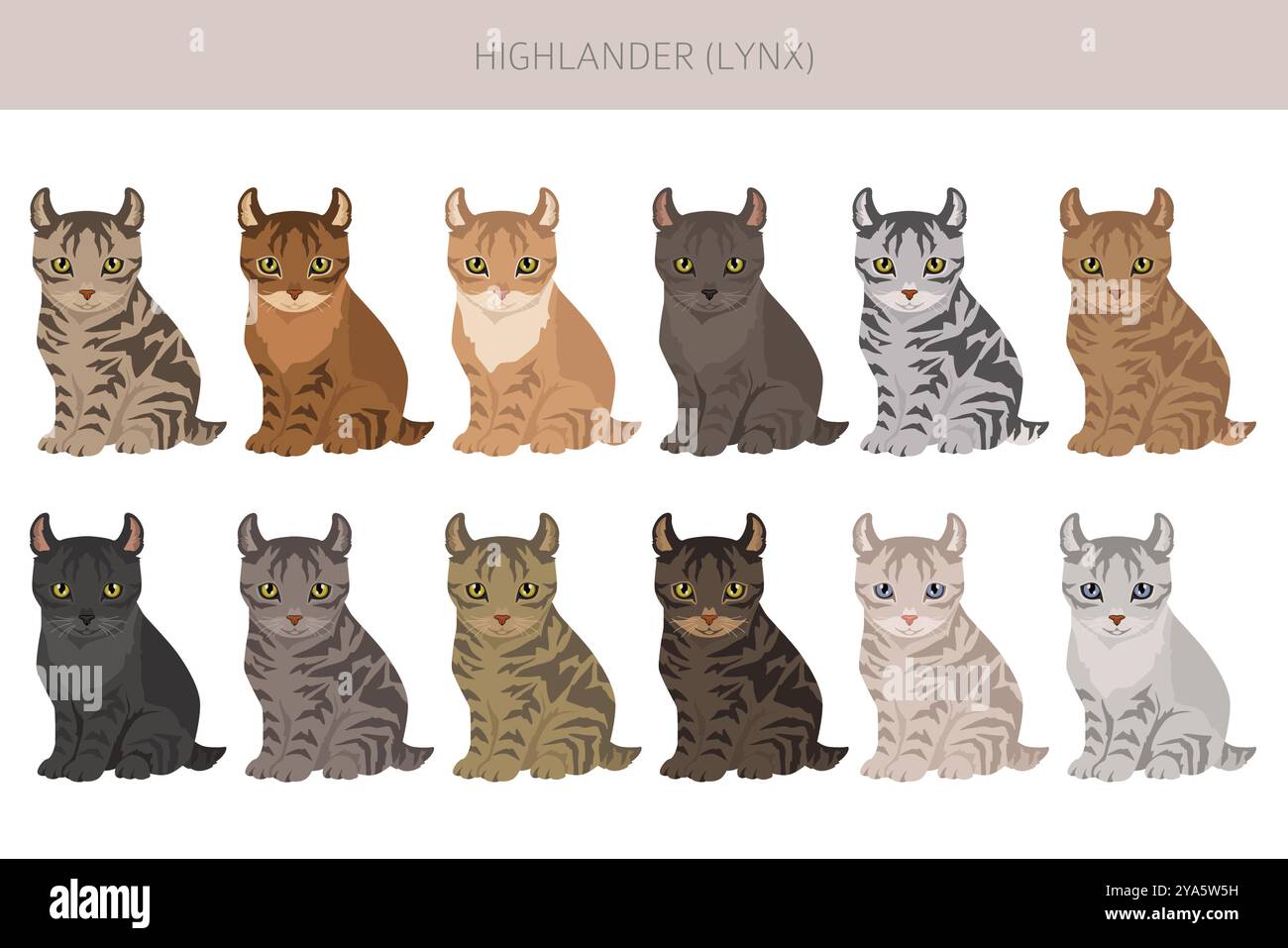 Hyghlander Lynx Cat clipart. All coat colors set. All cat breeds ...