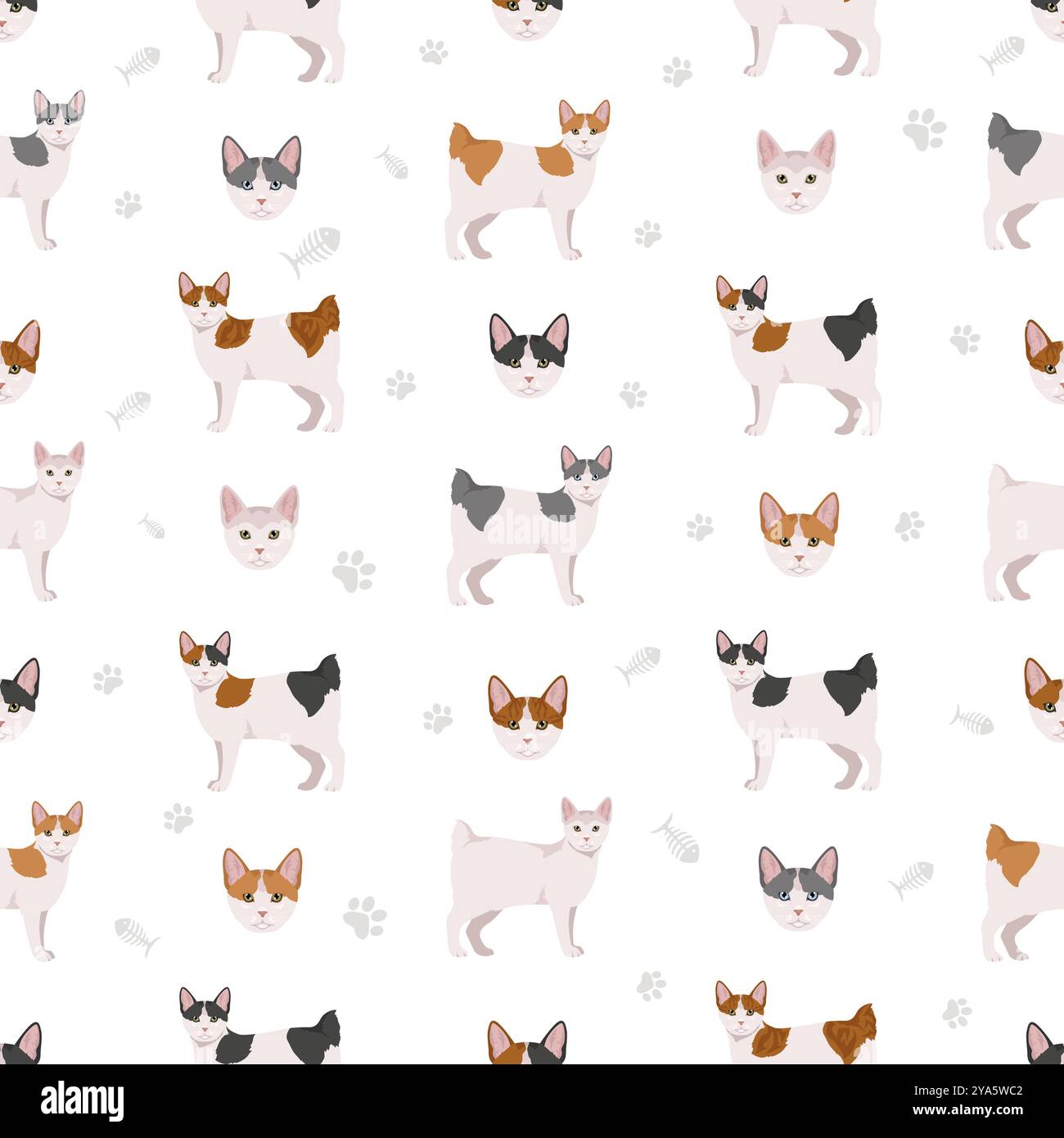 Japanese bobtail cat seamless pattern. All cat breeds characteristics ...