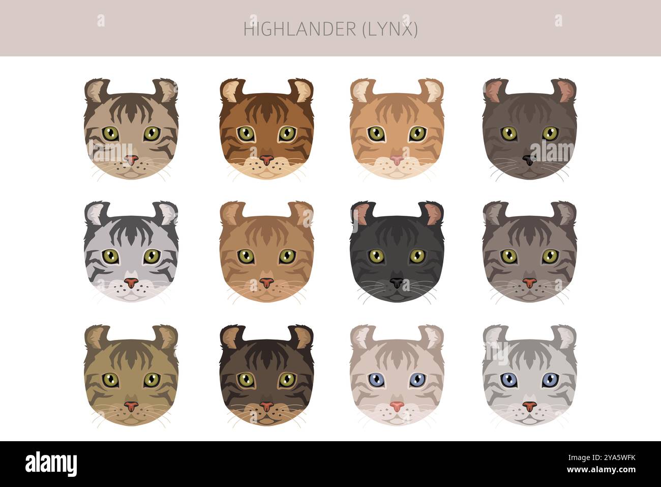Hyghlander Lynx Cat clipart. All coat colors set. All cat breeds ...