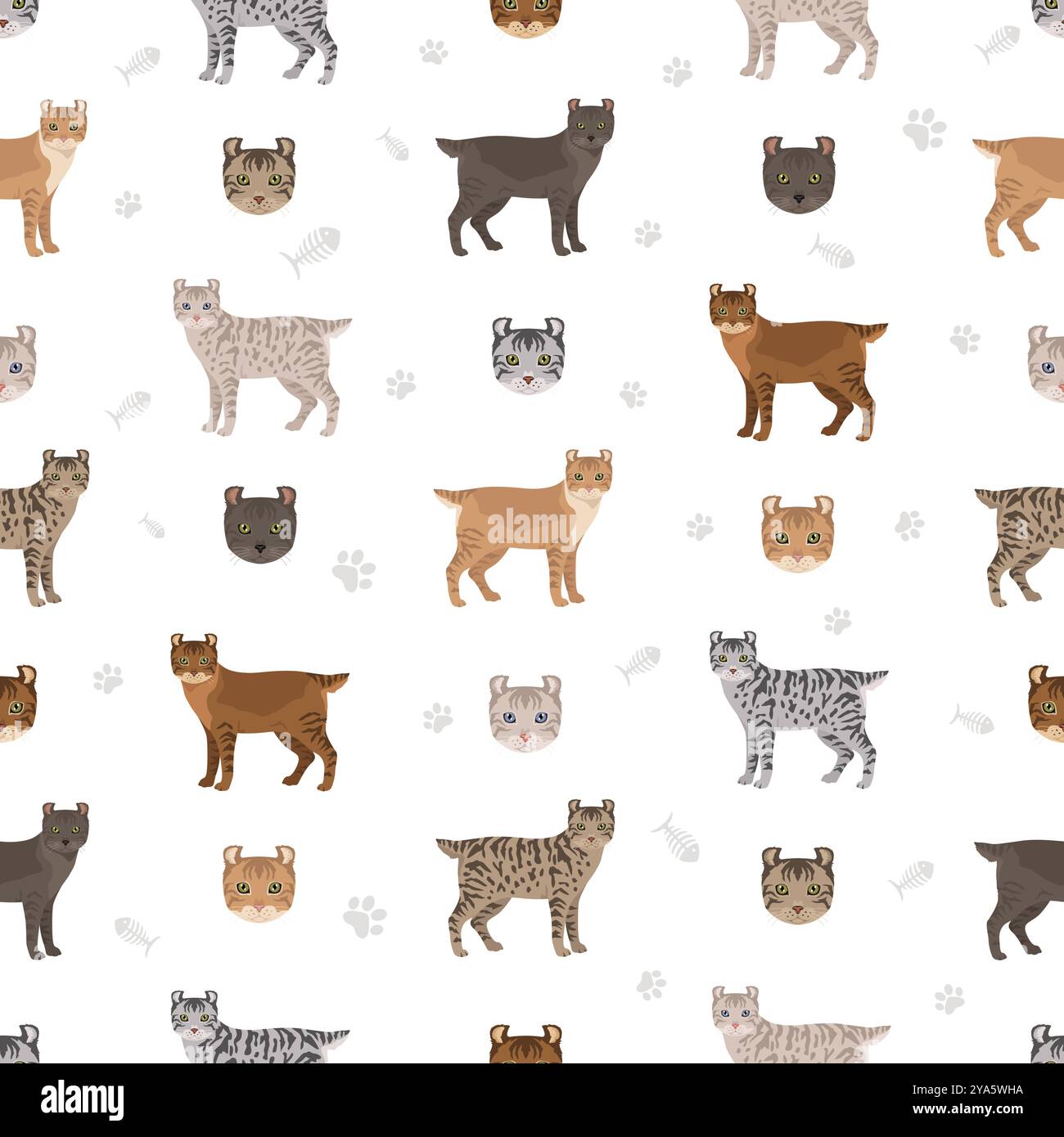Hyghlander Lynx Cat seamless pattern. All coat colors set. All cat ...