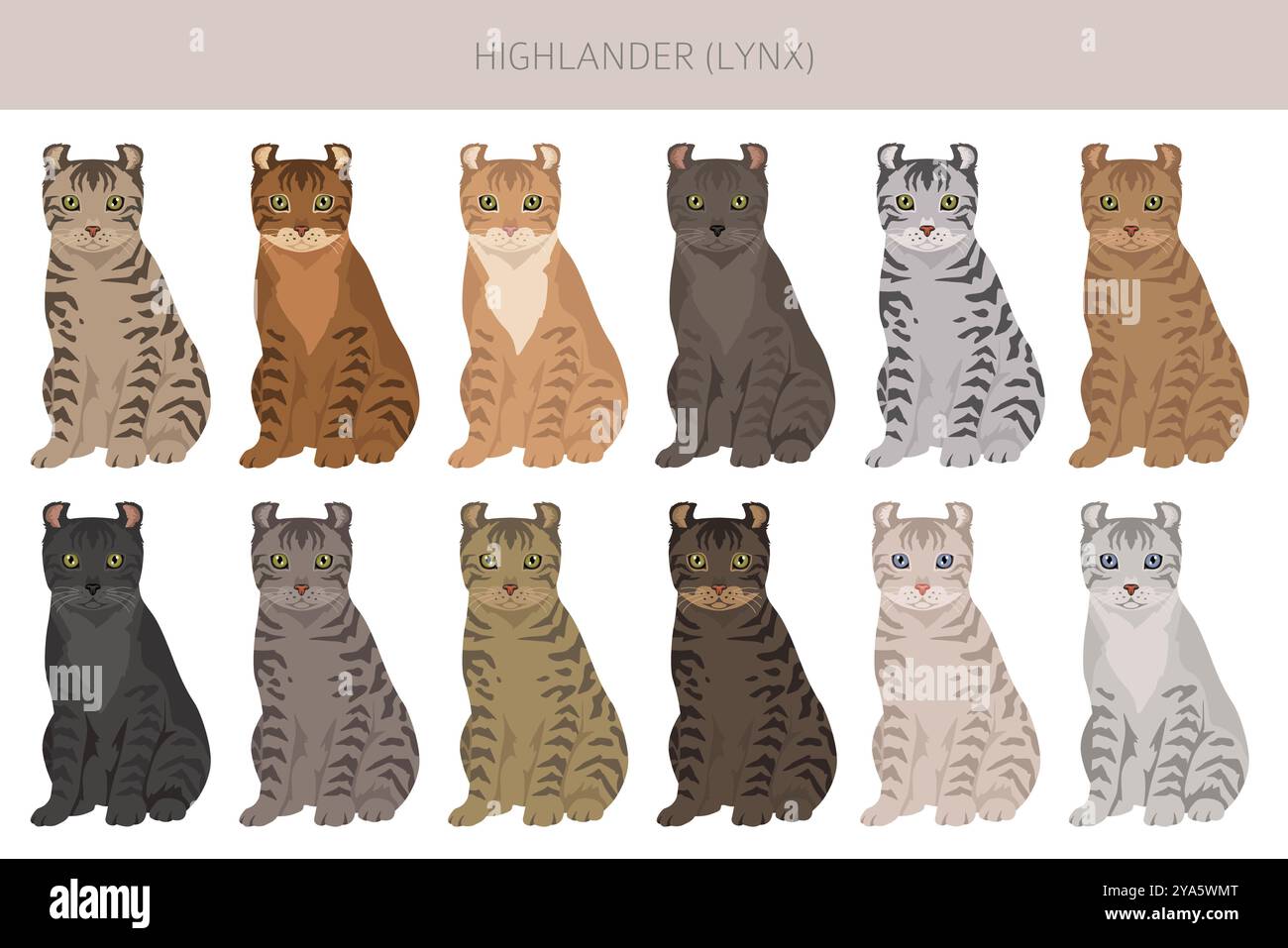 Hyghlander Lynx Cat clipart. All coat colors set. All cat breeds ...