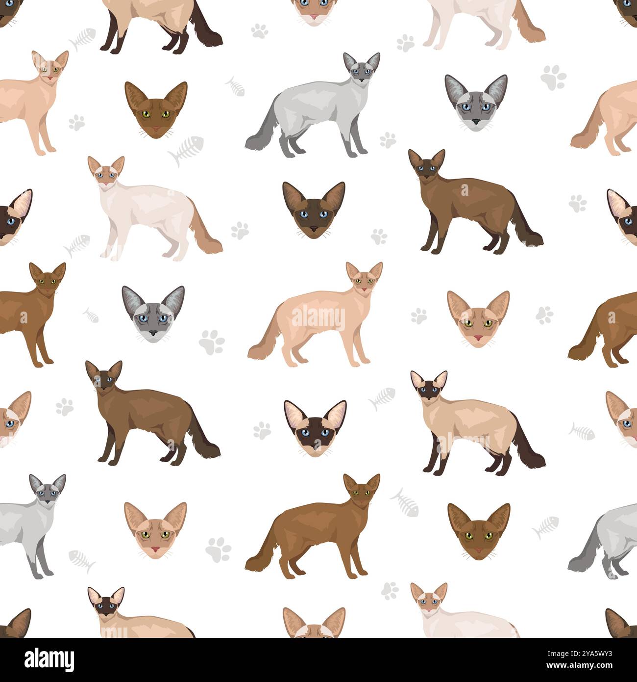 Javanese cat seamless pattern. Colorpoint Longhair cats all coat colors ...
