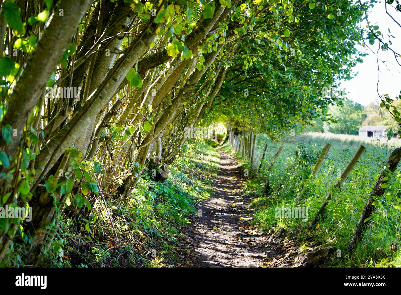 Byway pathway hi-res stock photography and images - Alamy