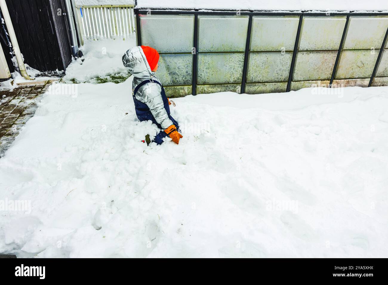 Child wearing winter snowsuit sitting in deep snow near greenhouse in ...