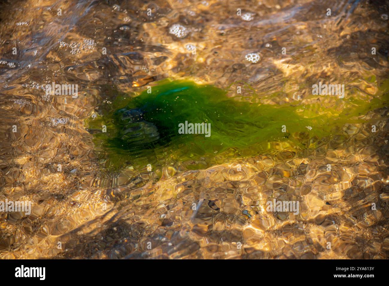 Cape Cod National Seashore features Herring Cove and full access to the ...
