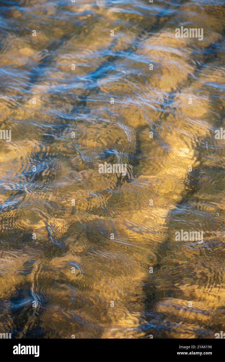 Cape Cod National Seashore features Herring Cove and full access to the ...