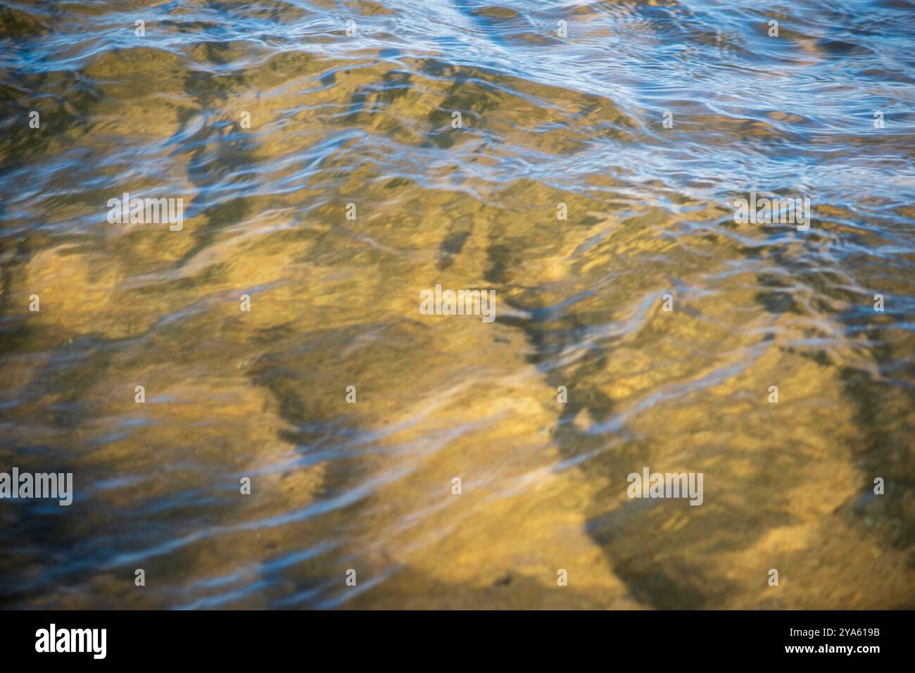 Cape Cod National Seashore features Herring Cove and full access to the ...