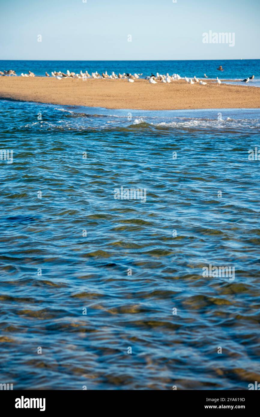 Cape Cod National Seashore features Herring Cove and full access to the ...