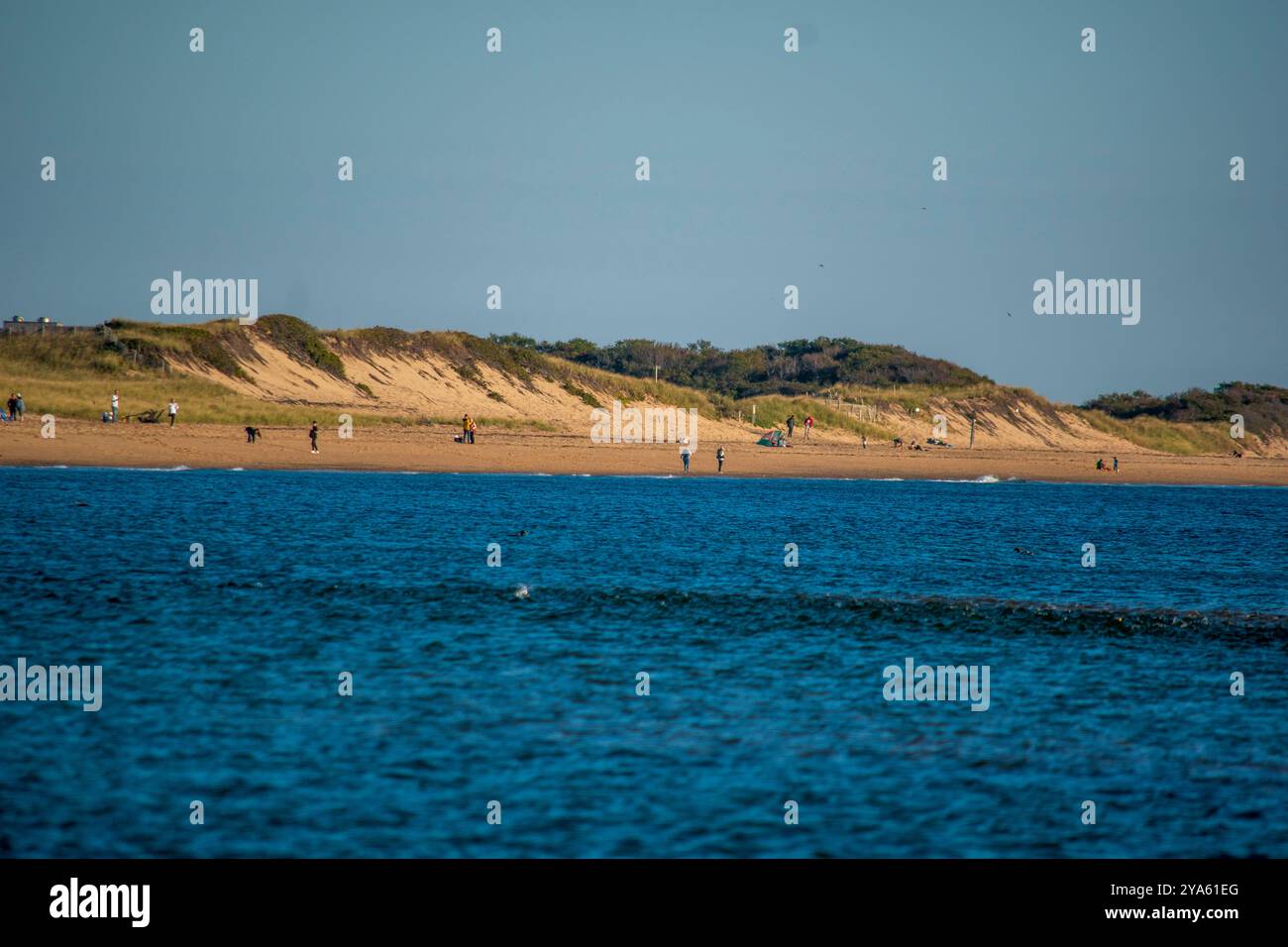 Cape Cod National Seashore features Herring Cove and full access to the ...
