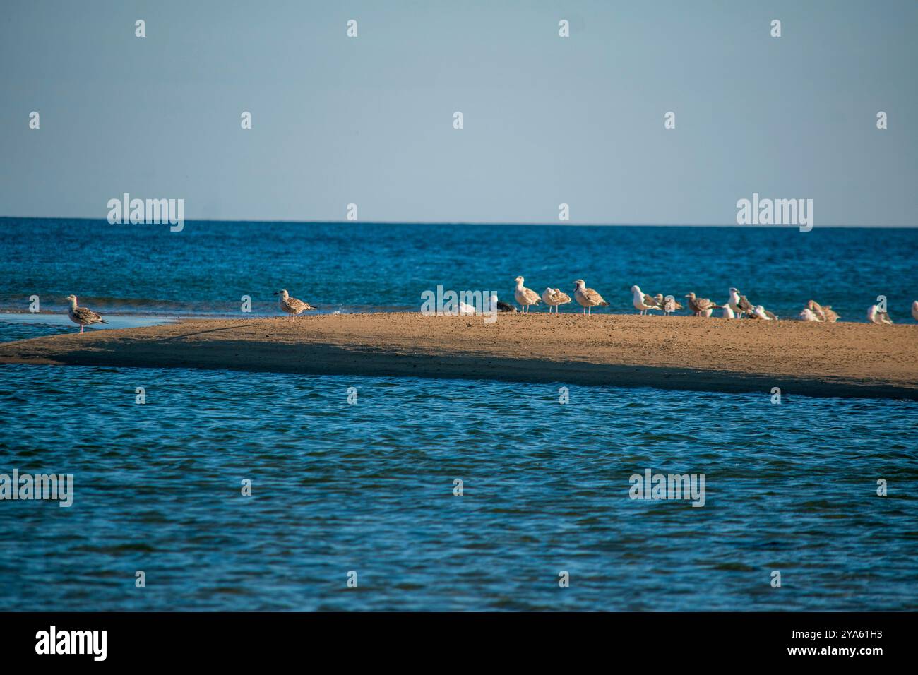 Cape Cod National Seashore features Herring Cove and full access to the ...