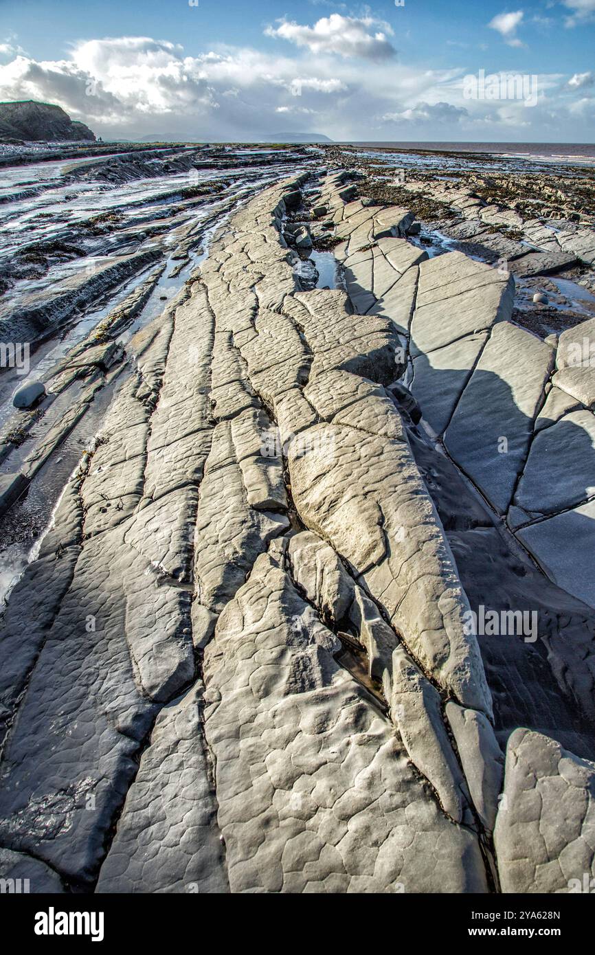 Curved and tilted Lias beds on the beach near East Quantoxhead on the ...