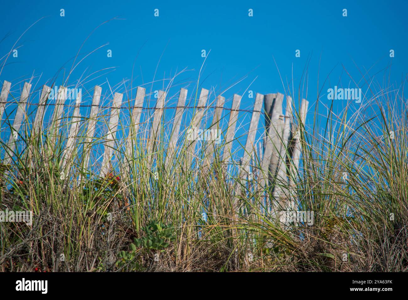 Cape Cod National Seashore features Herring Cove and full access to the ...